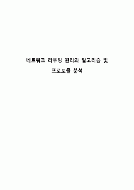 네트워크 라우팅 원리와 알고리즘 및 프로토콜 분석-1페이지