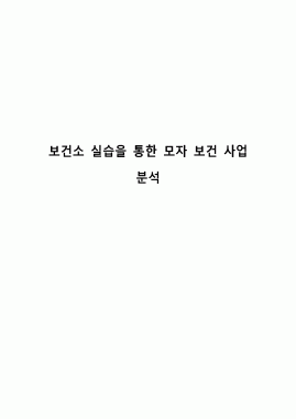 보건소 실습을 통한 모자 보건 사업 분석-1페이지