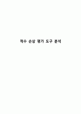 척수 손상 평가 도구 분석-1페이지