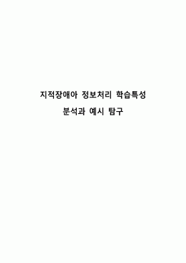 지적장애아 정보처리 학습특성 분석과 예시 탐구-1페이지