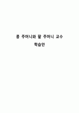 콩 주머니와 팥 주머니 교수 학습안-1페이지