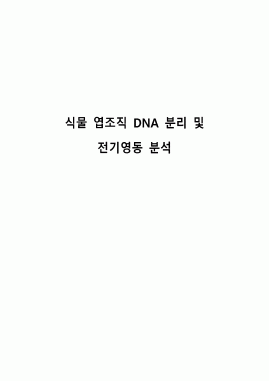 식물 엽조직 DNA 분리 및 전기영동 분석-1페이지