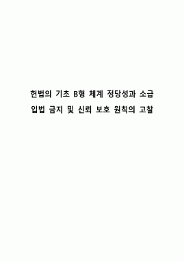 헌법의 기초 B형 체계 정당성과 소급 입법 금지 및 신뢰 보호 원칙의 고찰-1페이지