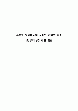 유럽형 멀티미디어 교육의 이해와 활용 1강부터 6강 내용 종합-1페이지