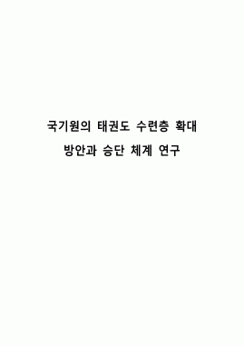 국기원의 태권도 수련층 확대 방안과 승단 체계 연구-1페이지