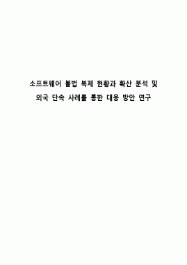 소프트웨어 불법 복제 현황과 확산 분석 및 외국 단속 사례를 통한 대응 방안 연구-1페이지