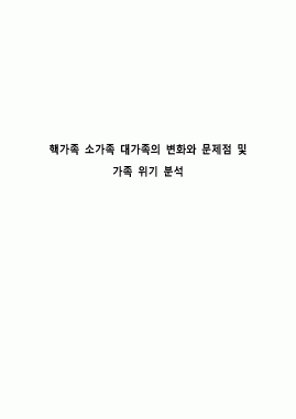 핵가족 소가족 대가족의 변화와 문제점 및 가족 위기 분석-1페이지