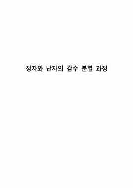 정자와 난자의 감수 분열 과정-1페이지