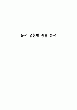 옵션 유형별 종류 분석-1페이지