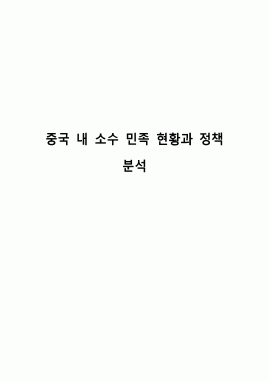 중국 내 소수 민족 현황과 정책 분석-1페이지