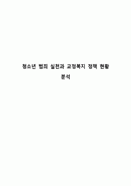 청소년 범죄 실천과 교정복지 정책 현황 분석-1페이지