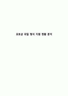 포토샵 파일 형식 지원 현황 분석-1페이지