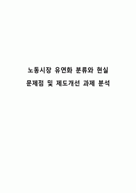 노동시장 유연화 분류와 현실 문제점 및 제도개선 과제 분석-1페이지