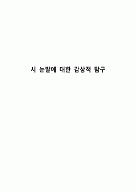 시 눈발에 대한 감상적 탐구-1페이지