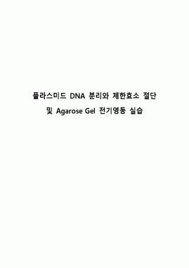 플라스미드 DNA 분리와 제한효소 절단 및 Agarose Gel 전기영동 실습-1페이지