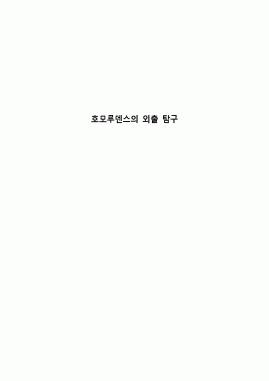 호모루덴스의 외출 탐구-1페이지