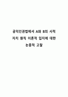 공익인권법에서 A와 B의 사적 자치 원칙 이론적 입지에 대한 논증적 고찰-1페이지