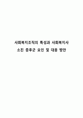 사회복지조직의 특성과 사회복지사 소진 증후군 요인 및 대응 방안-1페이지