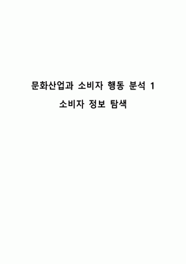 문화산업과 소비자 행동 분석 1 소비자 정보 탐색-1페이지