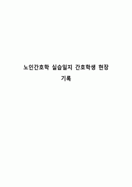 노인간호학 실습일지 간호학생 현장 기록-1페이지