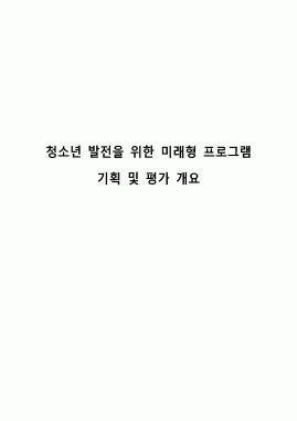 청소년 발전을 위한 미래형 프로그램 기획 및 평가 개요-1페이지