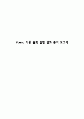 Young 이중 슬릿 실험 결과 분석 보고서-1페이지