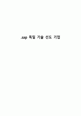 .sap 독일 기술 선도 기업-1페이지
