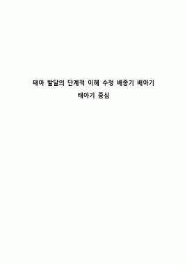 태아 발달의 단계적 이해 수정 배종기 배아기 태아기 중심-1페이지