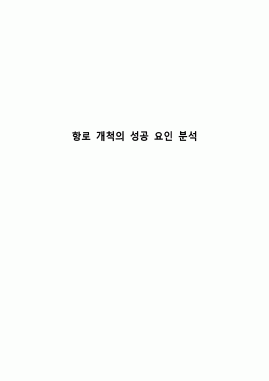 항로 개척의 성공 요인 분석-1페이지