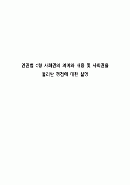 인권법 C형 사회권의 의미와 내용 및 사회권을 둘러싼 쟁점에 대한 설명-1페이지