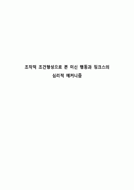 조작적 조건형성으로 본 미신 행동과 징크스의 심리적 메커니즘-1페이지