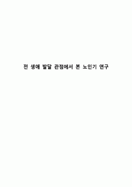 전 생애 발달 관점에서 본 노인기 연구-1페이지