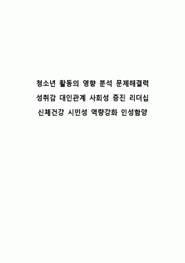 청소년 활동의 영향 분석 문제해결력 성취감 대인관계 사회성 증진 리더십 신체건강 시민성 역량강화 인성함양-1페이지