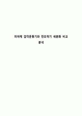 피아제 감각운동기와 전조작기 세분화 비교 분석-1페이지