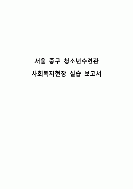 서울 중구 청소년수련관 사회복지현장 실습 보고서-1페이지