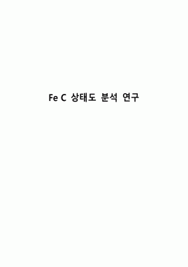 Fe C 상태도 분석 연구-1페이지