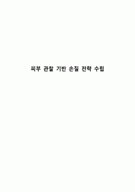 피부 관찰 기반 손질 전략 수립-1페이지