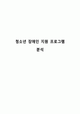 청소년 장애인 지원 프로그램 분석-1페이지