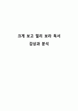 크게 보고 멀리 보라 독서 감상과 분석-1페이지