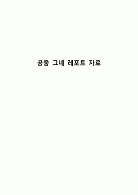 공중 그네 레포트 자료-1페이지