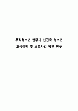 무직청소년 현황과 선진국 청소년 고용정책 및 보호사업 방안 연구-1페이지