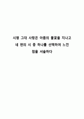 시평 그대 사랑은 아픔의 불꽃을 지나고 네 편의 시 중 하나를 선택하여 느낀 점을 서술하다-1페이지