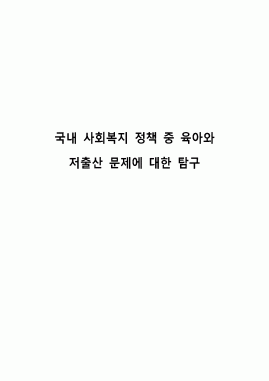 국내 사회복지 정책 중 육아와 저출산 문제에 대한 탐구-1페이지
