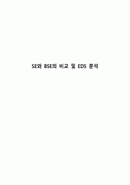 SE와 BSE의 비교 및 EDS 분석-1페이지