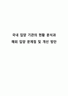 국내 입양 기관의 현황 분석과 해외 입양 문제점 및 개선 방안-1페이지