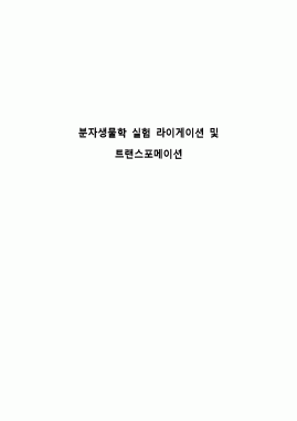 분자생물학 실험 라이게이션 및 트랜스포메이션-1페이지