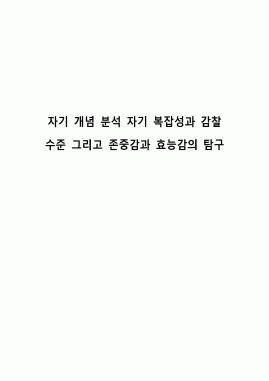 자기 개념 분석 자기 복잡성과 감찰 수준 그리고 존중감과 효능감의 탐구-1페이지