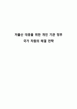저출산 대응을 위한 개인 기관 정부 국가 차원의 해결 전략-1페이지