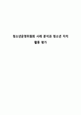 청소년운영위원회 사례 분석과 청소년 자치 활동 평가-1페이지