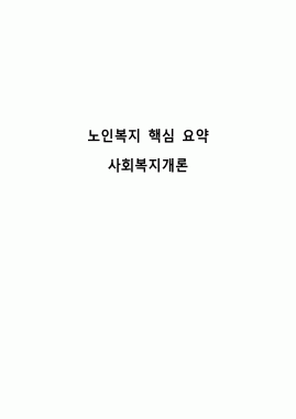 노인복지 핵심 요약 사회복지개론-1페이지